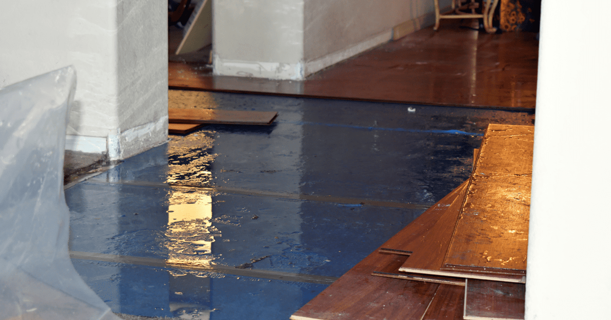 What To Do After Water Damage | Woodard
