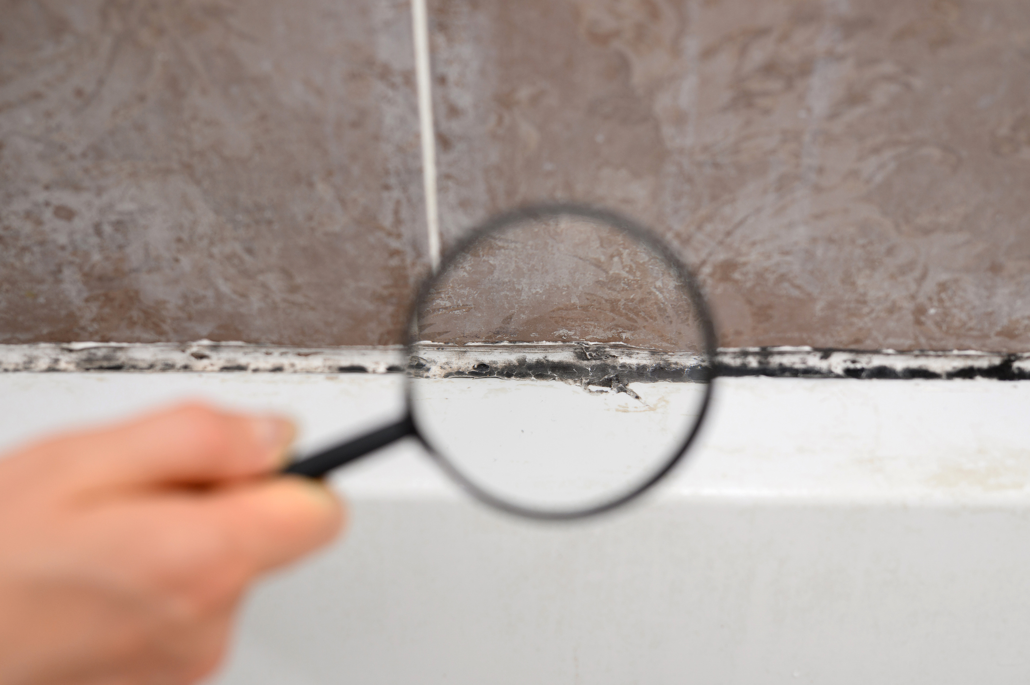 The Truth About Black Mold: Myths vs. Facts | Woodard